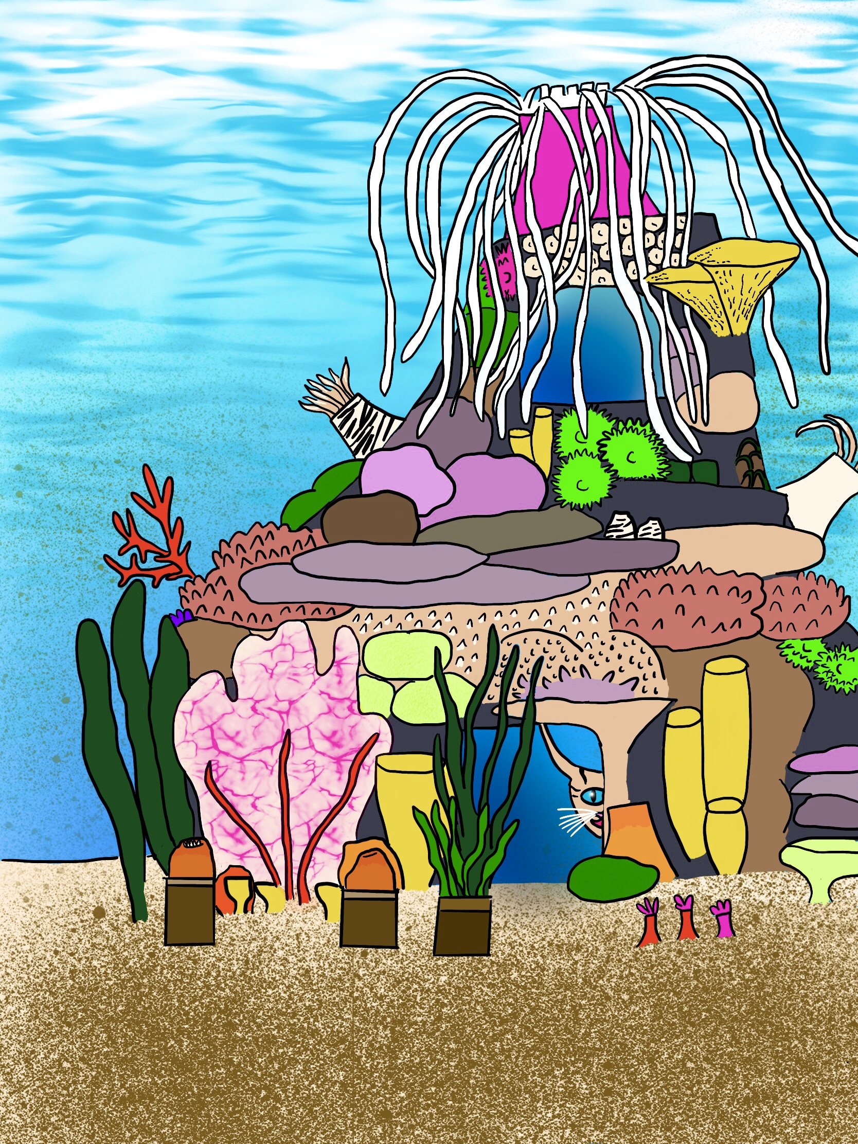 Lagoona – The Secret Reef